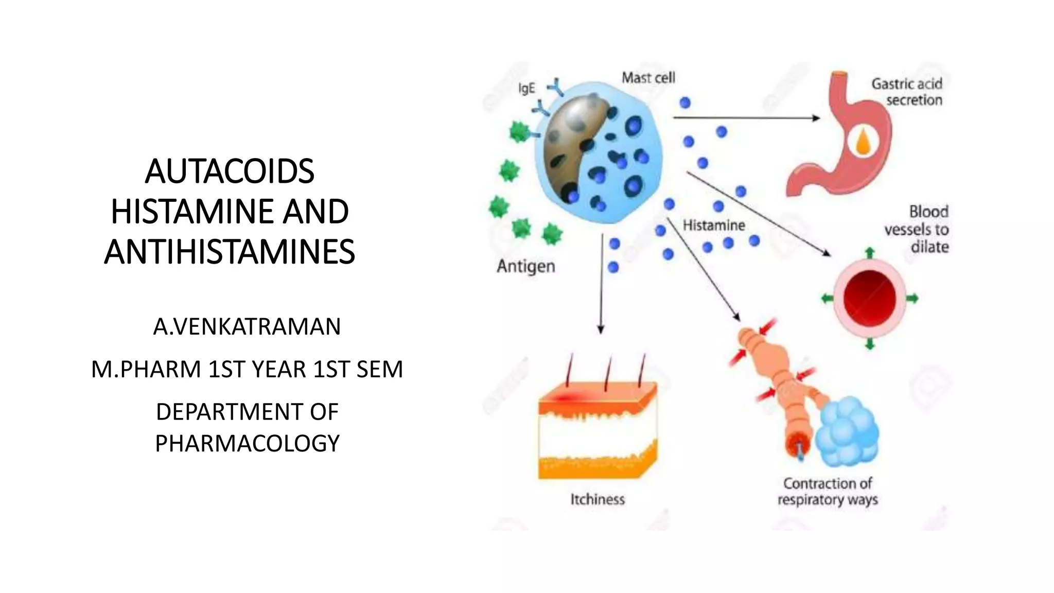 Histamines and Antihistamines | PPTX