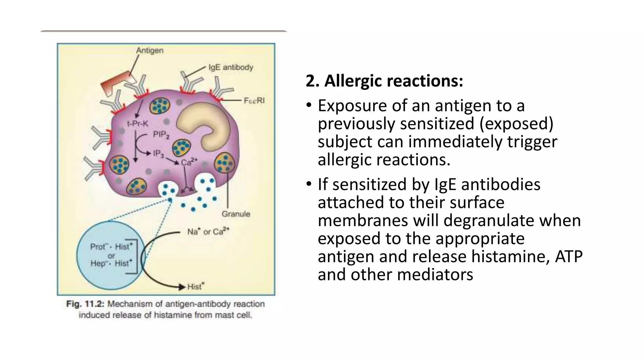 Histamines and Antihistamines | PPTX