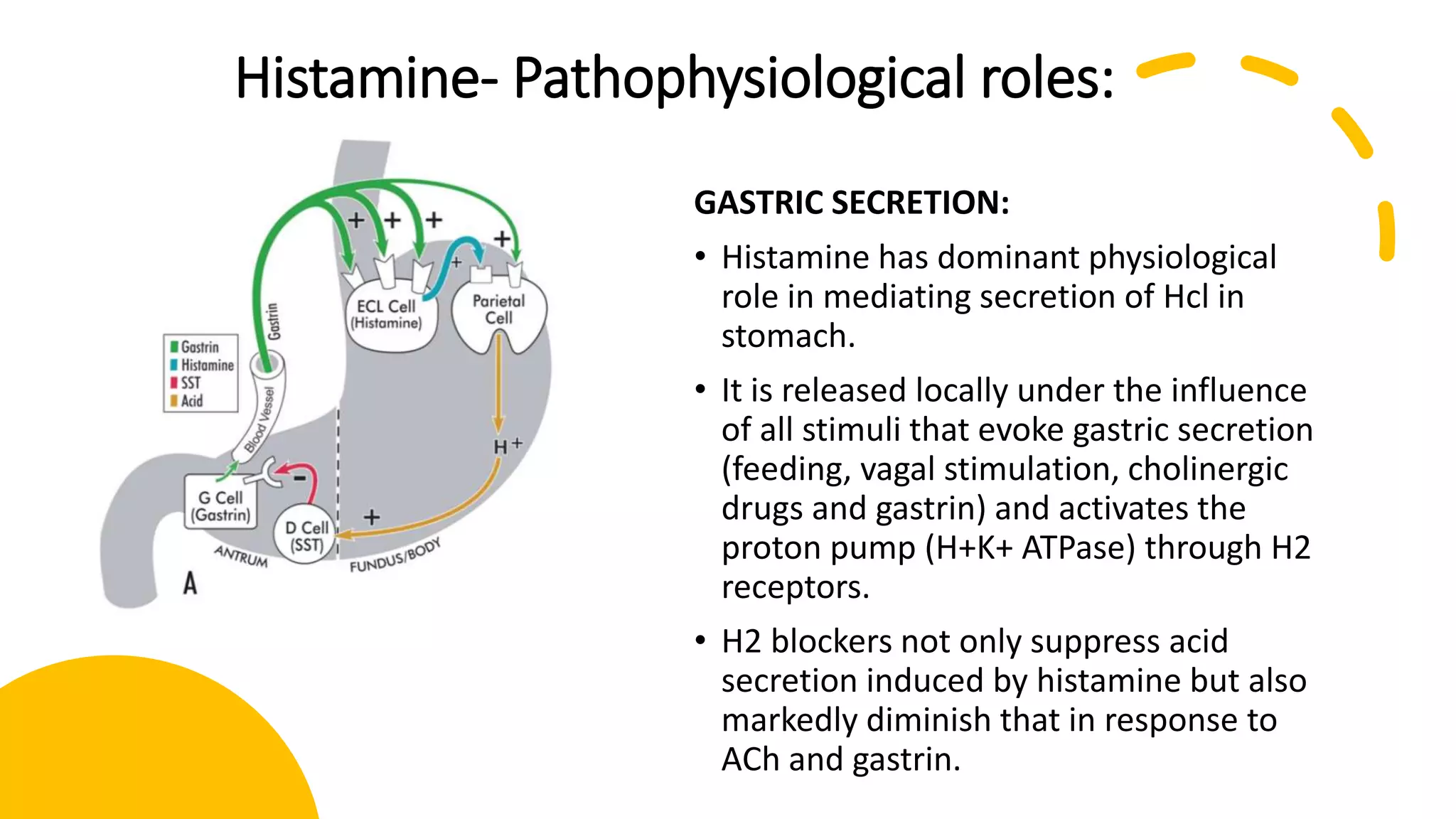Histamines and Antihistamines | PPTX