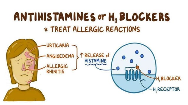 Histamines and Antihistamines | PPTX