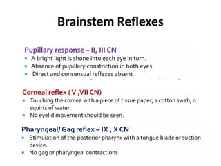 Approach coma coma coma approach coma.pptx