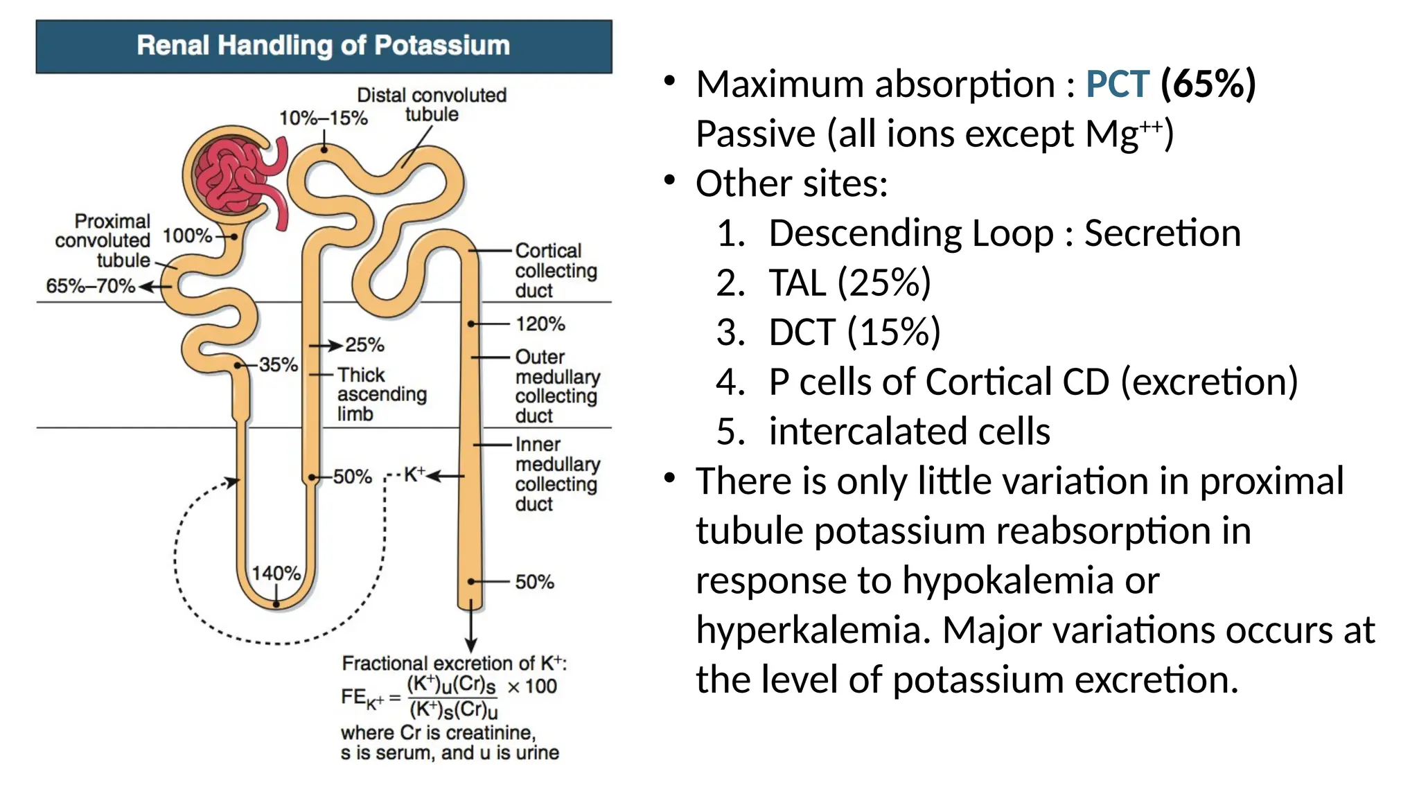 Approach-to-hypokalemia-Harrison-sanju.pptx