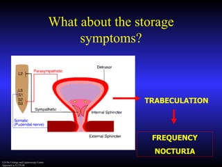 Family Physician's Approach to Lower Urinary Tract Symptoms | PPT