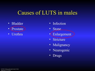 Family Physician's Approach to Lower Urinary Tract Symptoms | PPT