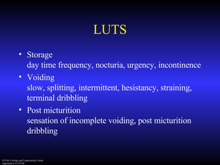 PPT Lower Urinary Tract Symptoms LUTS PowerPoint, 59% OFF