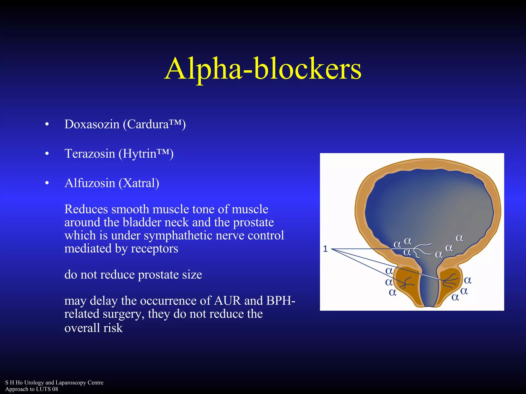 Family Physician's Approach to Lower Urinary Tract Symptoms in Males | PPT