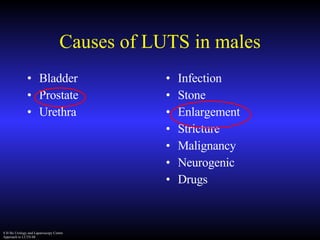 Family Physician's Approach to Lower Urinary Tract Symptoms in Males | PPT