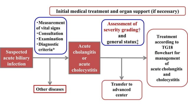 Approach and Management of Cholangitis.pptx