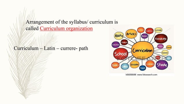 Approaches for curriculum organization | PPTX