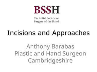 Hand incision Approaches ortho plastic.ppt