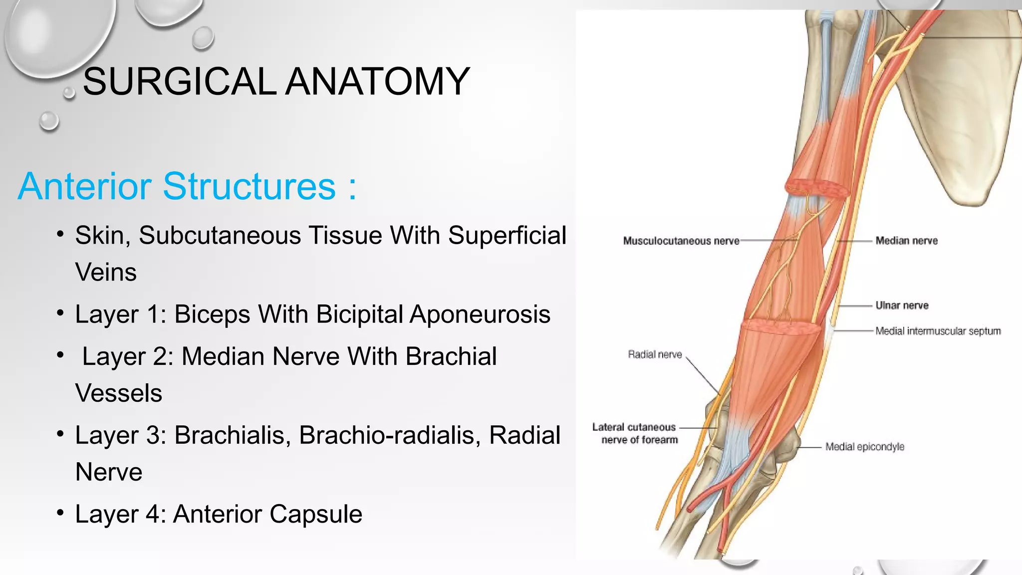 Surgical Approaches to distal humerus fractures - DR.S.SENTHIL SAILESH ...