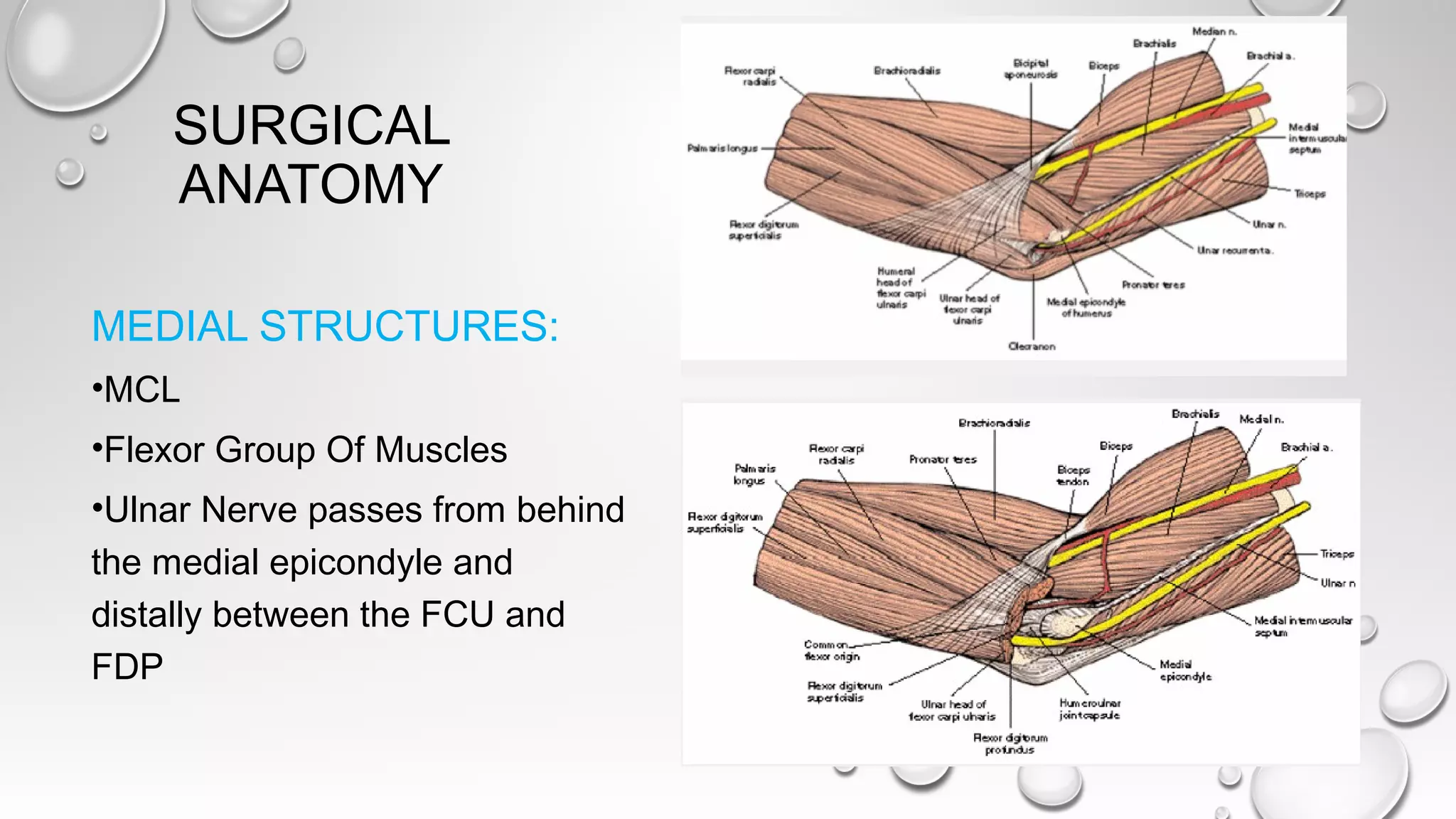 Surgical Approaches to distal humerus fractures - DR.S.SENTHIL SAILESH ...