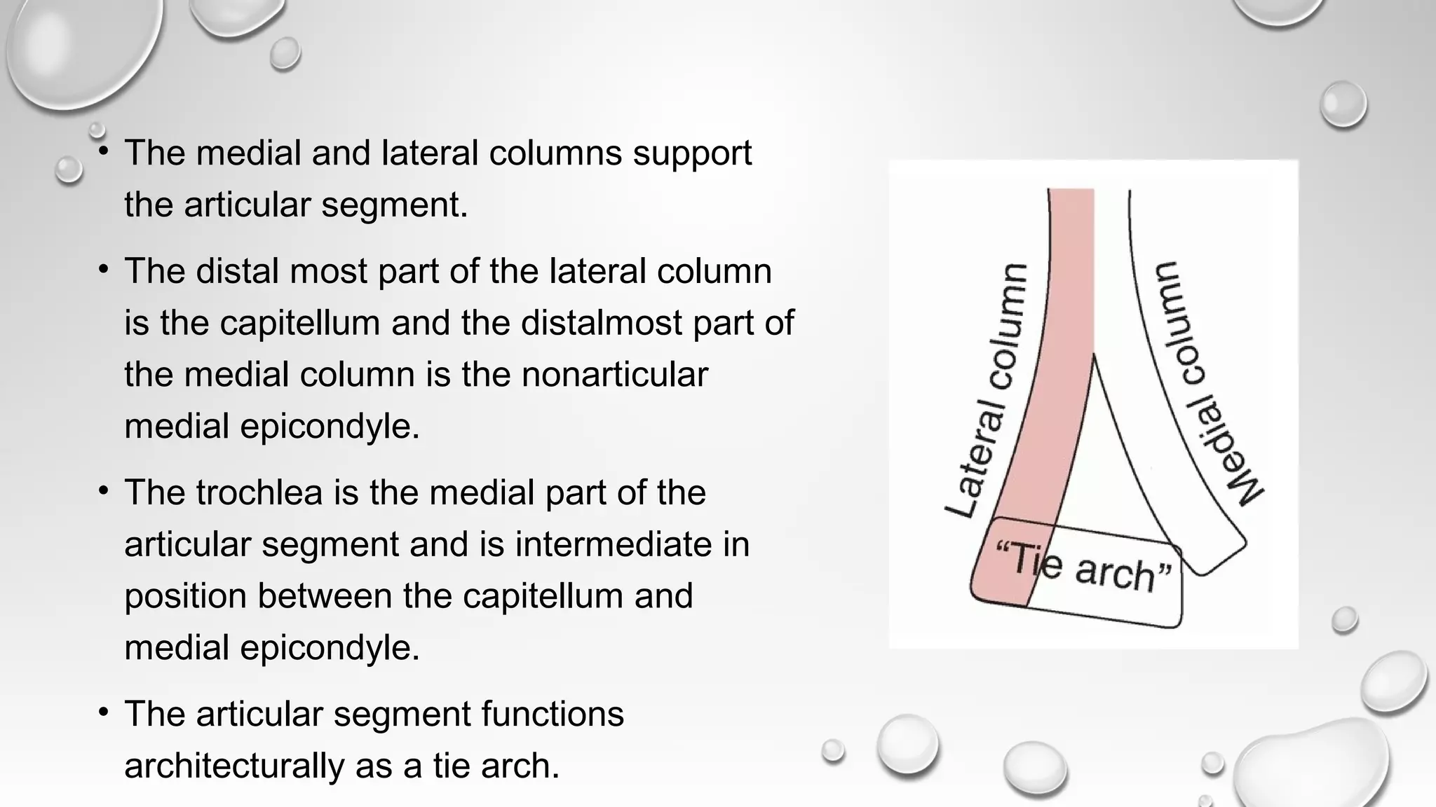 Surgical Approaches to distal humerus fractures - DR.S.SENTHIL SAILESH ...