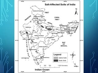 Approaches for development of salt tolerant plant | PPTX