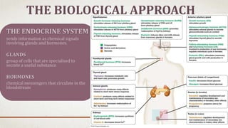 Approaches in psychology AQA AS revision | PPTX