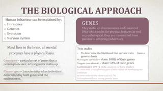 Approaches in psychology AQA AS revision | PPTX
