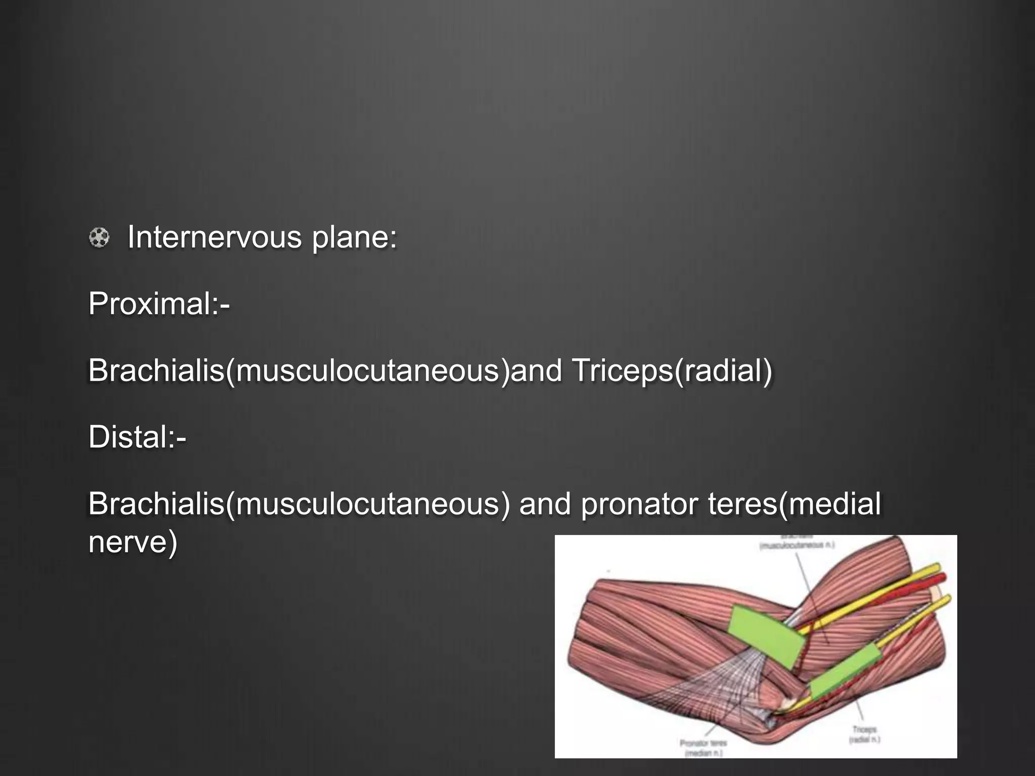 Approaches of elbow | PPTX