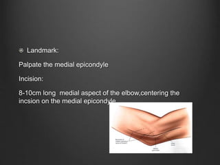 Approaches of elbow | PPTX | Death, Injury, or Military Conflict ...