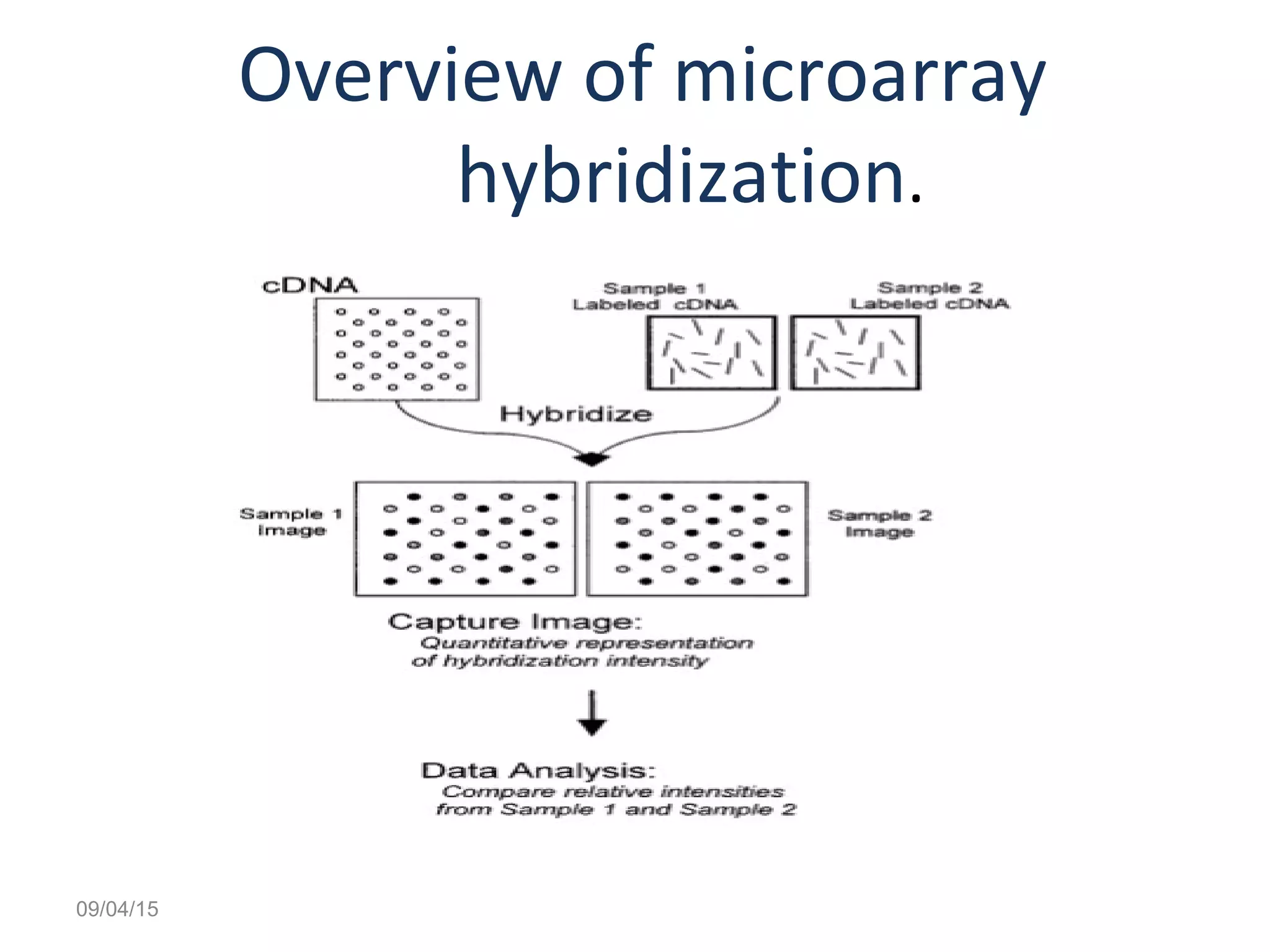 Systems biology & Approaches of genomics and proteomics | PPT | Biological Sciences | Science