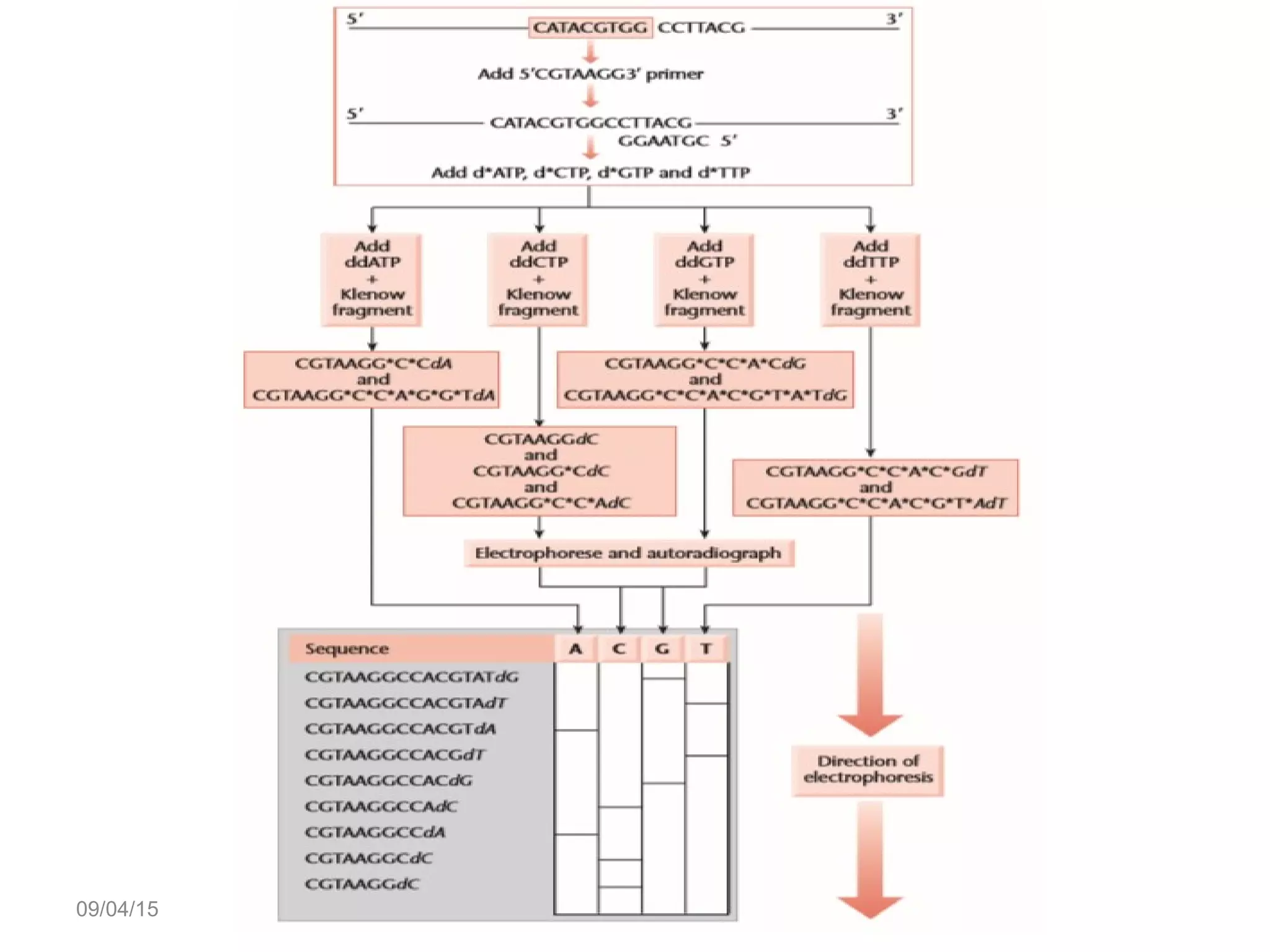 Systems biology & Approaches of genomics and proteomics | PPT | Biological Sciences | Science