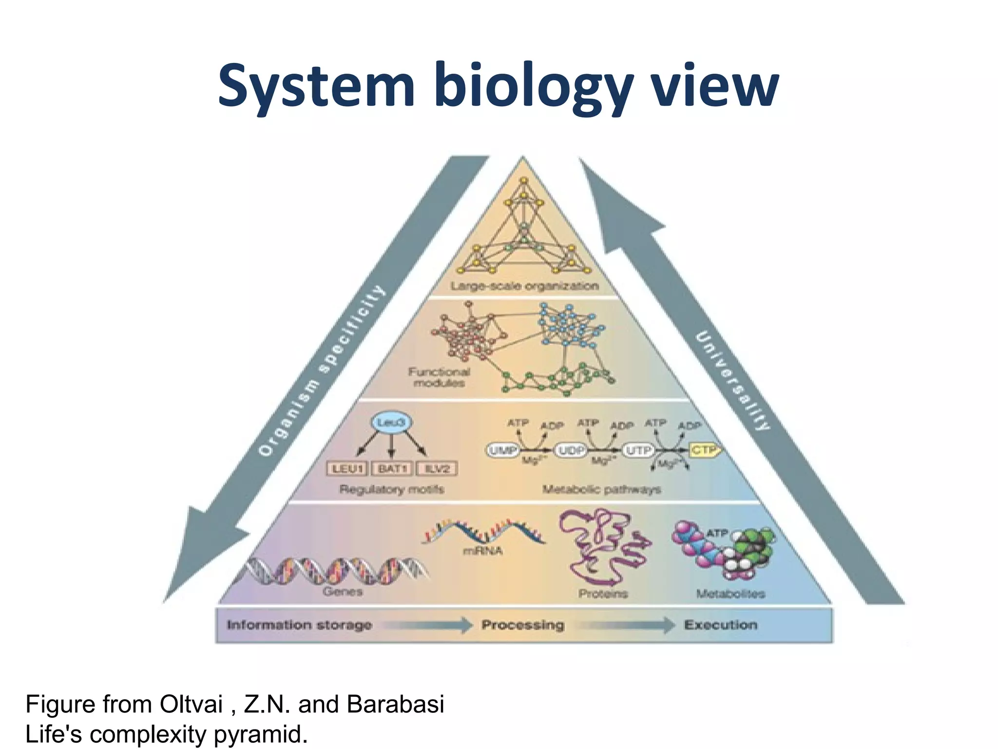 Systems biology & Approaches of genomics and proteomics | PPT