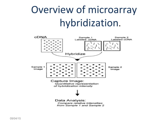 Systems Biology And Approaches Of Genomics And Proteomics Ppt Biological Sciences Science