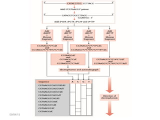 Systems biology & Approaches of genomics and proteomics | PPT