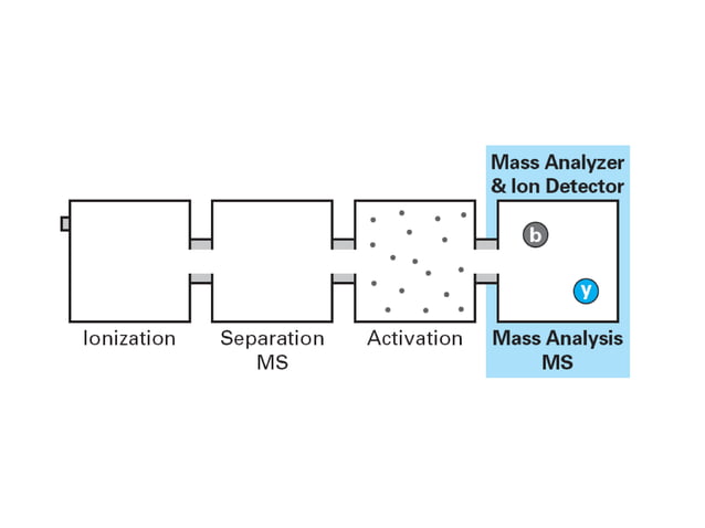 Systems Biology And Approaches Of Genomics And Proteomics Ppt Biological Sciences Science