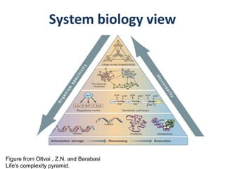 Systems biology & Approaches of genomics and proteomics | PPT ...
