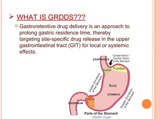 approaches of grdds.pdf PPT Notes M.Pharm | PDF