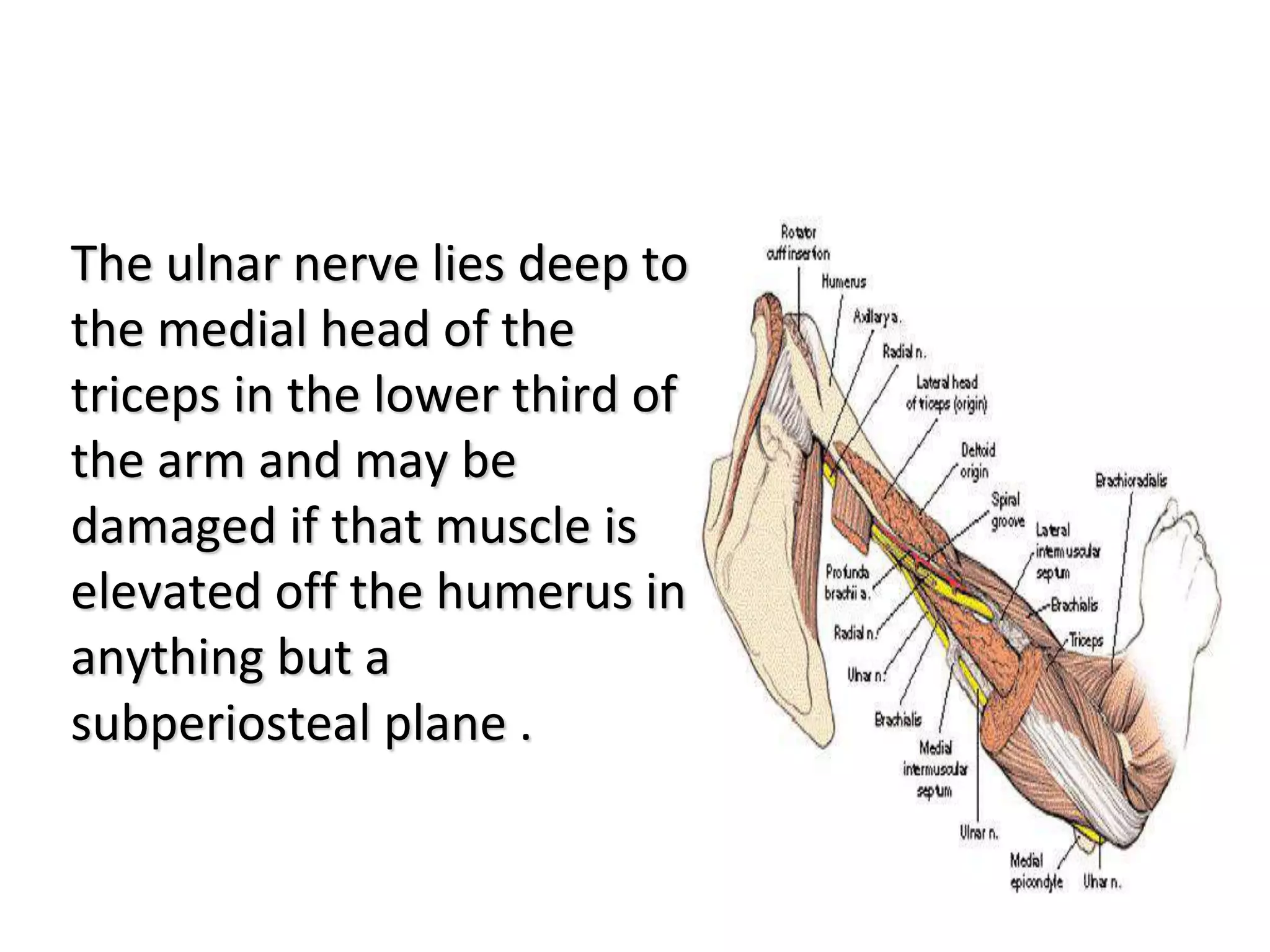 Approaches of humurus | PPT