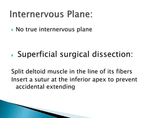 Approaches of shoulder | PPTX