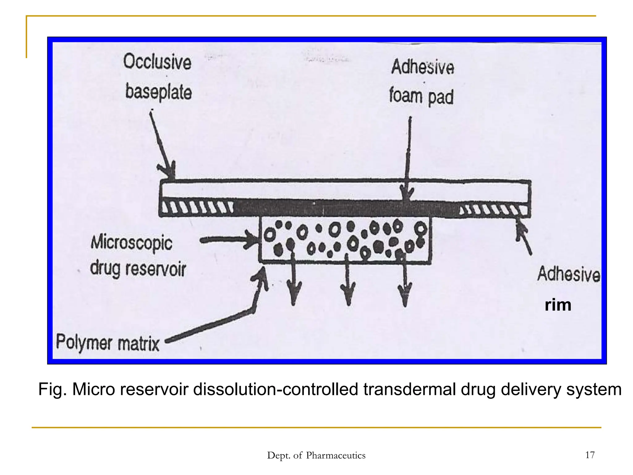 approaches of Transdermal drug delivery system | PPT