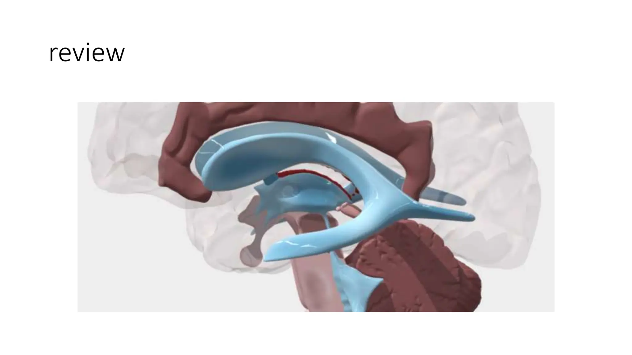 approaches to 3rd ventricle | PPTX