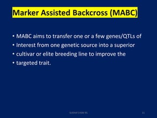 Approaches to apply mas in plant breeding | PPT