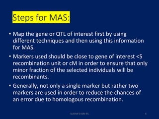 Approaches to apply mas in plant breeding | PPT