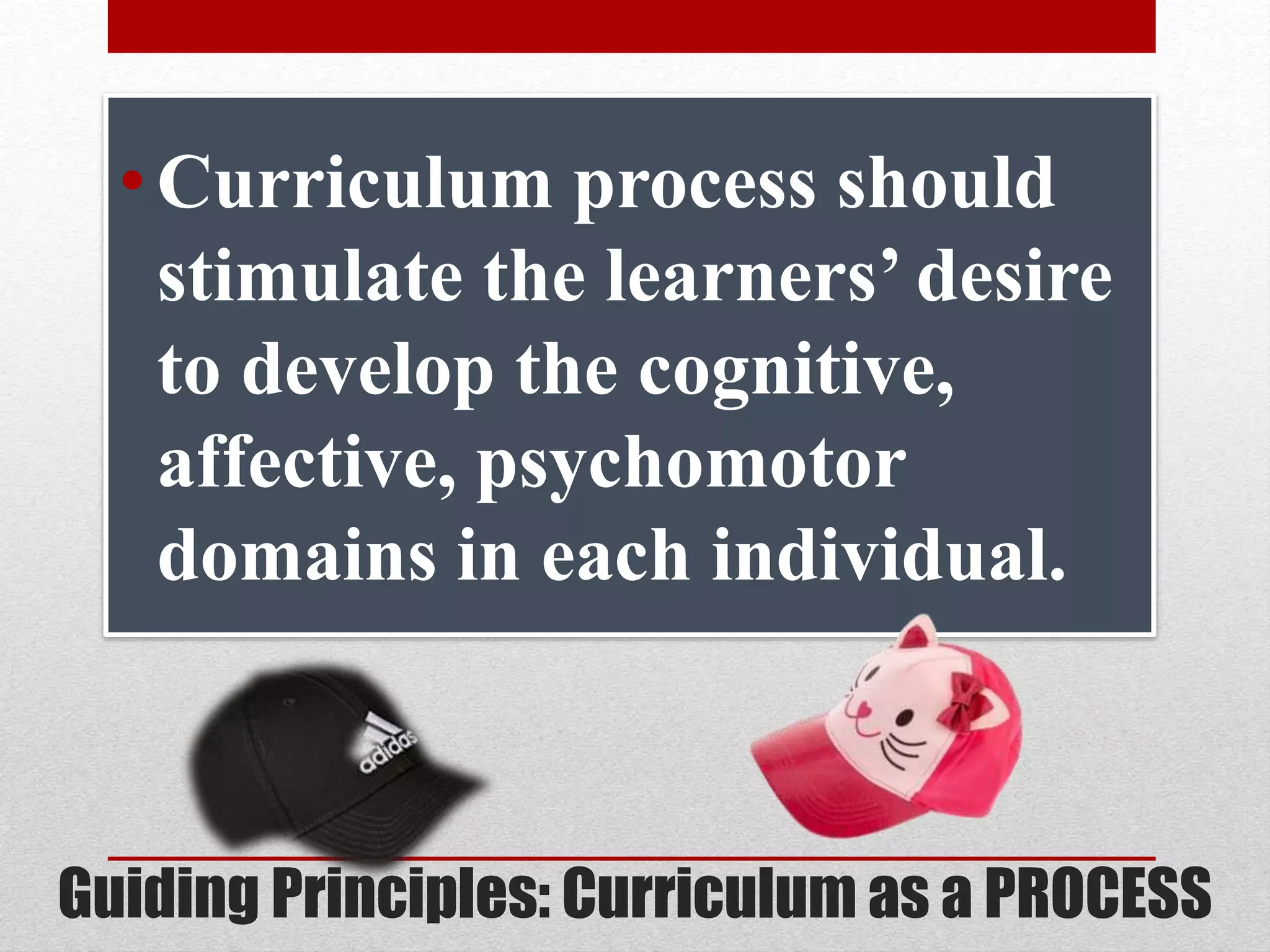 Approaches to curriculum | PPTX