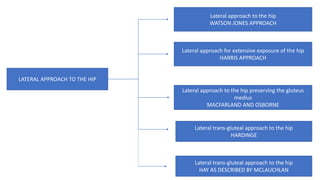 Approaches to hip joint | PPTX