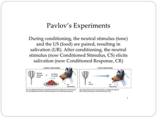 Approaches to learning-Pavlov & Skinner | PPT