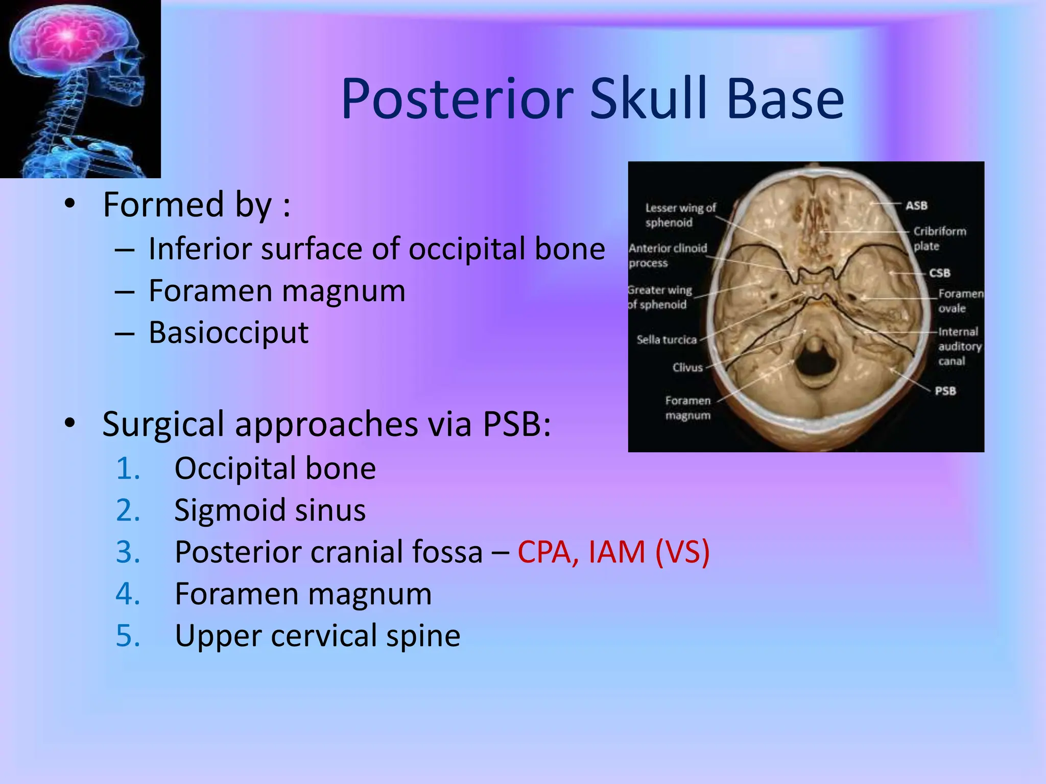 APPROACHES TO SKULL BASE AND APPLIED ASPECT.pptx