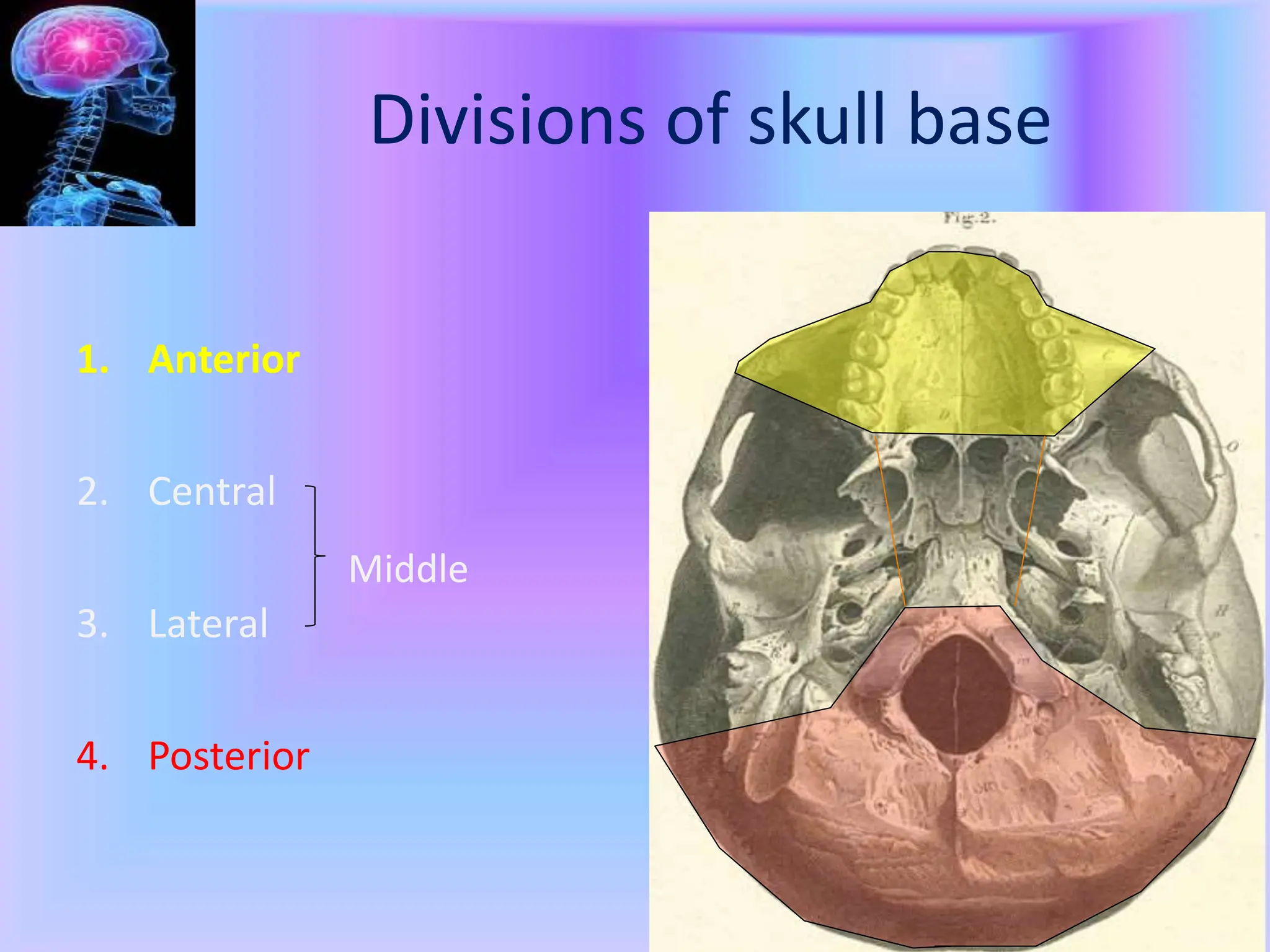 APPROACHES TO SKULL BASE AND APPLIED ASPECT.pptx
