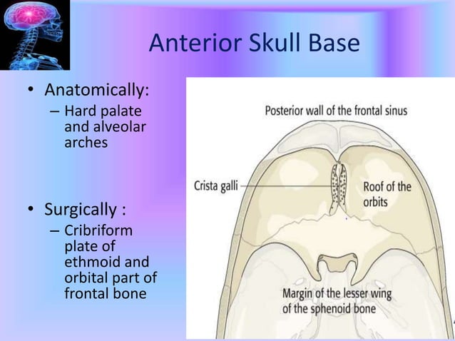 APPROACHES TO SKULL BASE AND APPLIED ASPECT.pptx