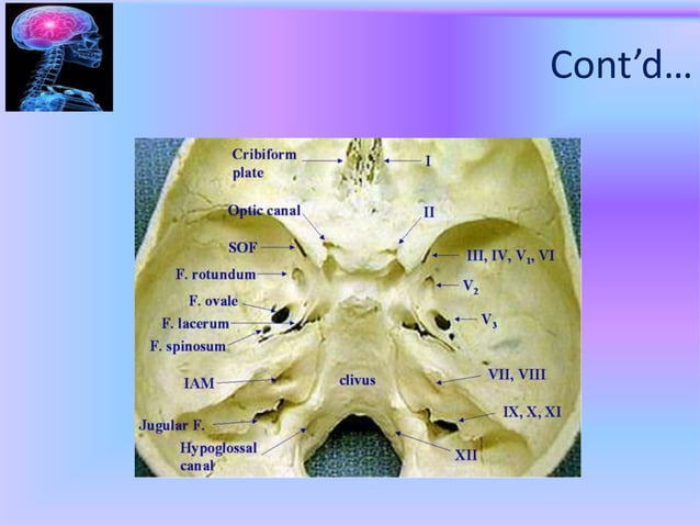 APPROACHES TO SKULL BASE AND APPLIED ASPECT.pptx