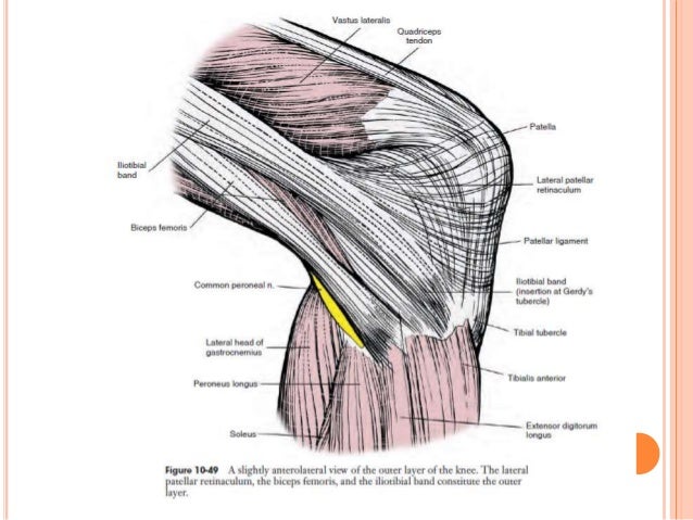 surgical approaches of knee joint