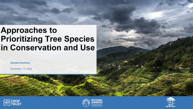 Approaches to tree conservation and use | PPT