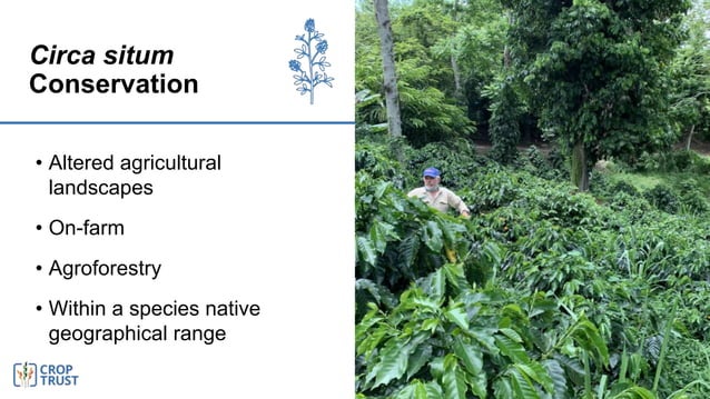 Approaches to tree conservation and use | PPT