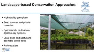 Approaches to tree conservation and use | PPTX