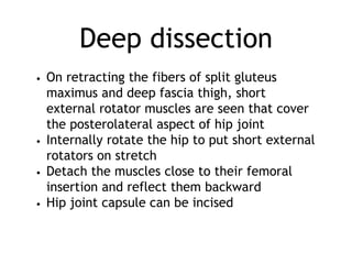 Surgical Approach to Hip and Acetabulum | PPTX