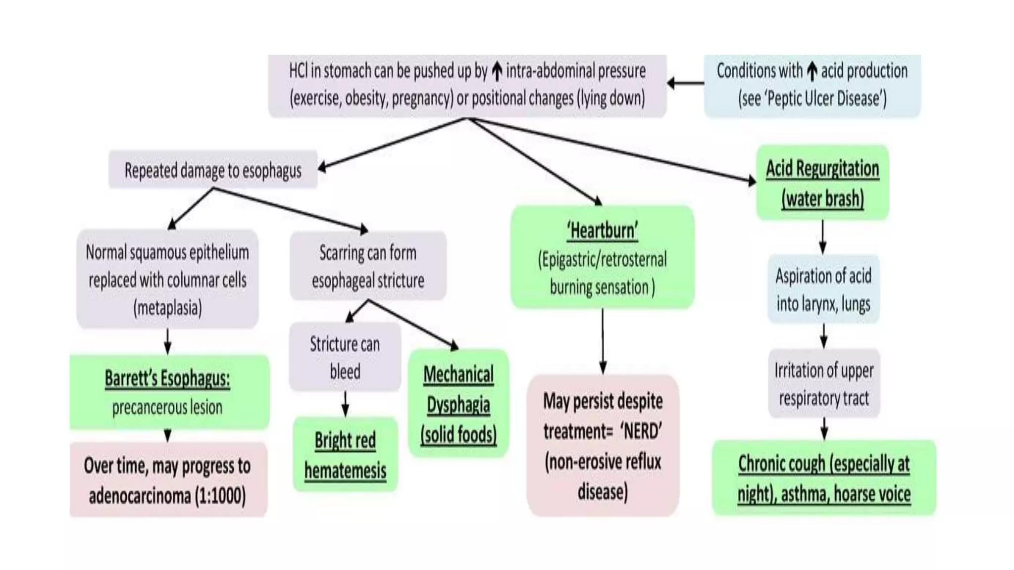 Approach, indications and surgical management of gerd 2 | PPTX