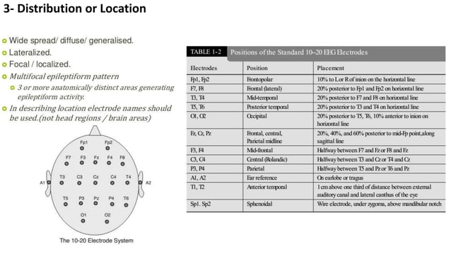 Approaching the eeg | PPTX | Brain and Nervous System Disorders ...
